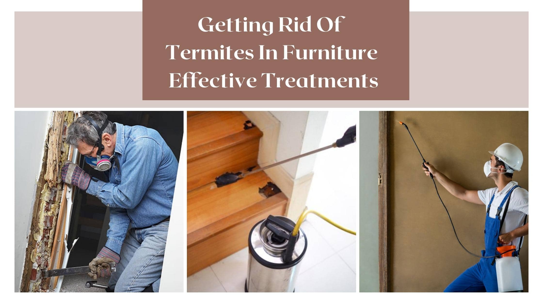 Getting Rid of Termites In Furniture - Effective Treatments